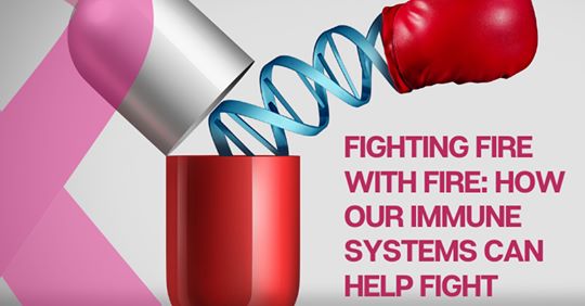 Fighting fire with fire: How our immune systems can help fight breast ...