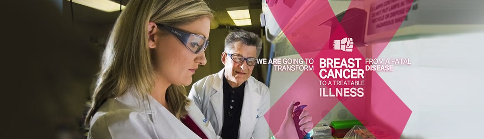 Fighting Fire with Fire: how our immune systems can help fight breast ...